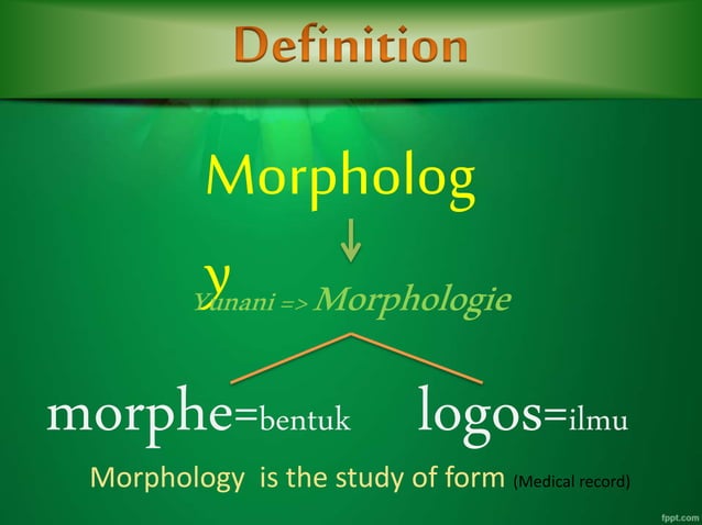 definition of morphology and word | PPTX