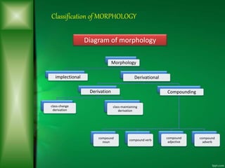 definition of morphology and word | PPTX | Geology | Science