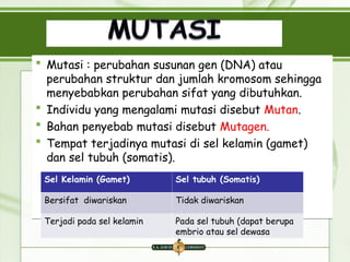 Meeting II-Mutasi geomnwjsjsnsnsksjs.pdf