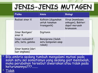 Meeting II-Mutasi geomnwjsjsnsnsksjs.pdf
