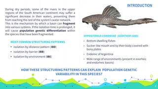 GEOGRAPHIC ISOLATION OF Hypostomus cordovae (SILURIFORMES, LORICARIIDAE ...