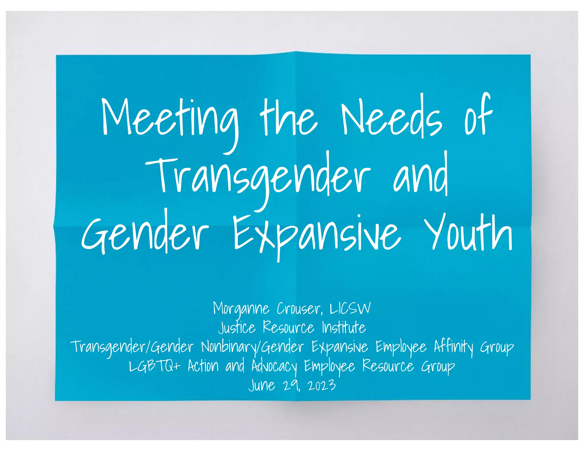 Meeting the Needs of Transgender and Gender Expansive Youth.pdf