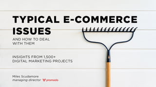 Typical e-commerce issues and how to deal with them | PDF