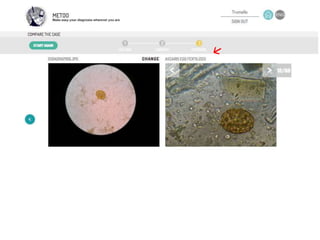 Mee too how it works | PPTX