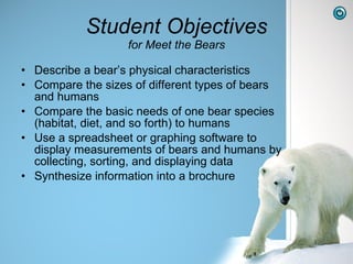 Meet the Bears | PPT