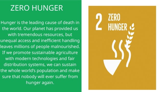 SDG GOALS PPTX EXPLANING 17 SDG IN PRECISION | PPT