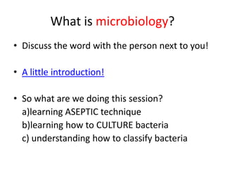Meet the microbes!! | PPT