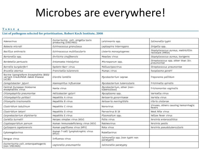 Meet the microbes!! | PPTX