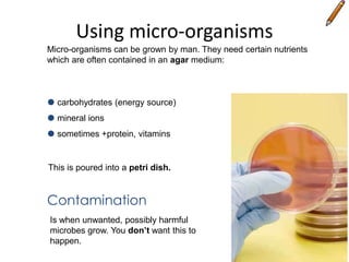 Meet the microbes!! | PPTX