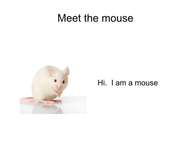 Meet The Mouse | PPT