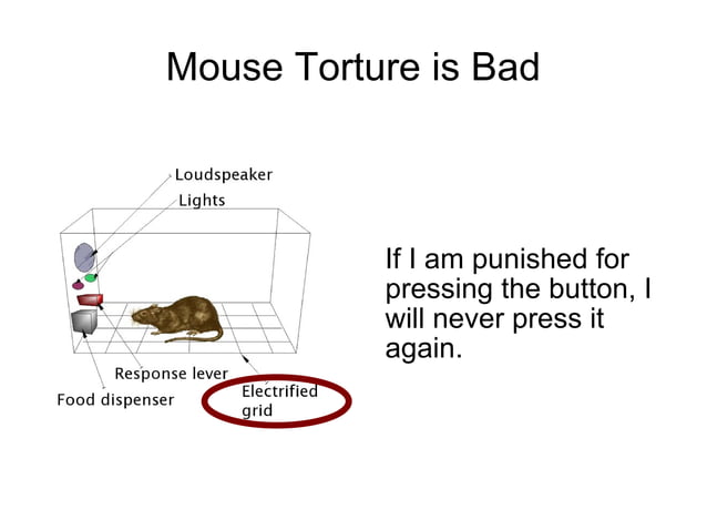 Meet The Mouse | PPT