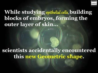 SCUTOID - The new Geometric Shape Discovered! | PPTX