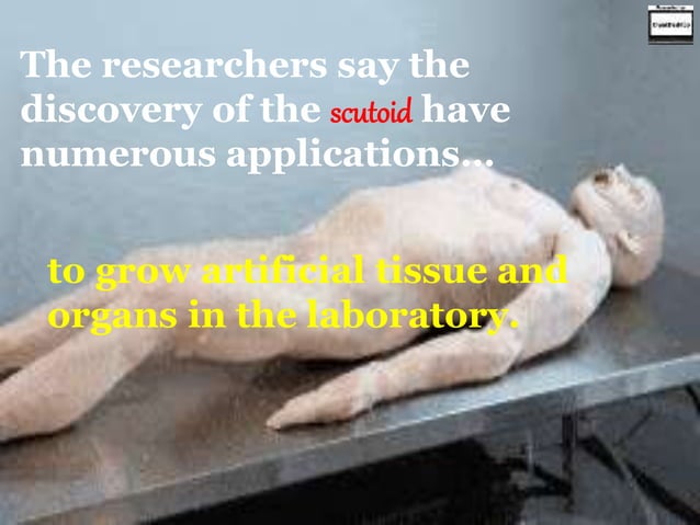 SCUTOID - The new Geometric Shape Discovered! | PPTX