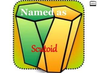 SCUTOID - The new Geometric Shape Discovered! | PPTX