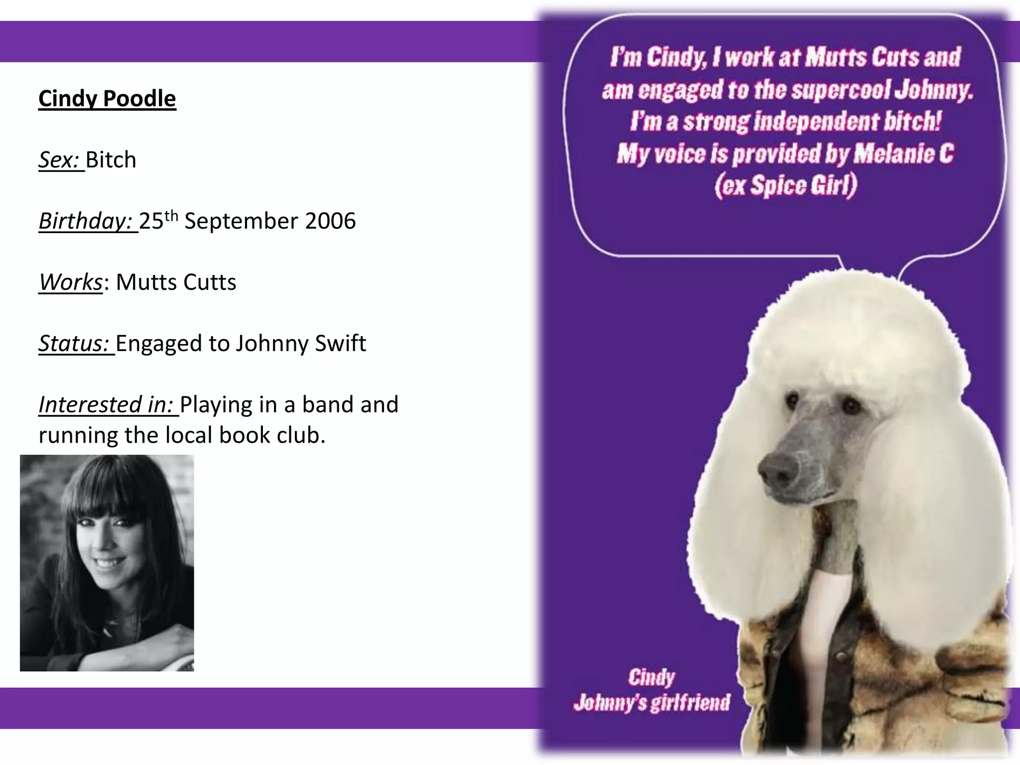 Meet the Swiftbrothers | swiftcover.com