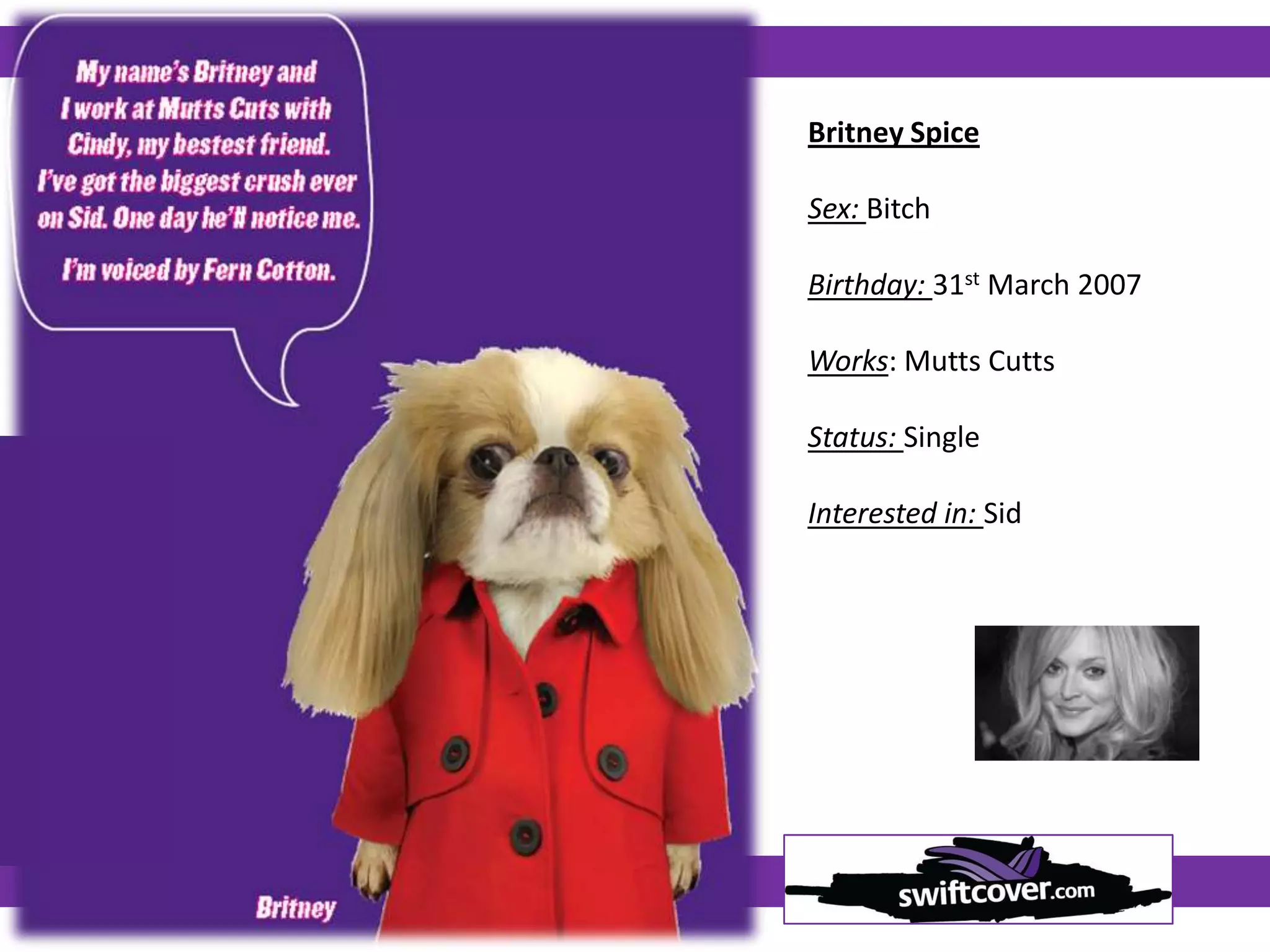 Meet the Swiftbrothers | swiftcover.com