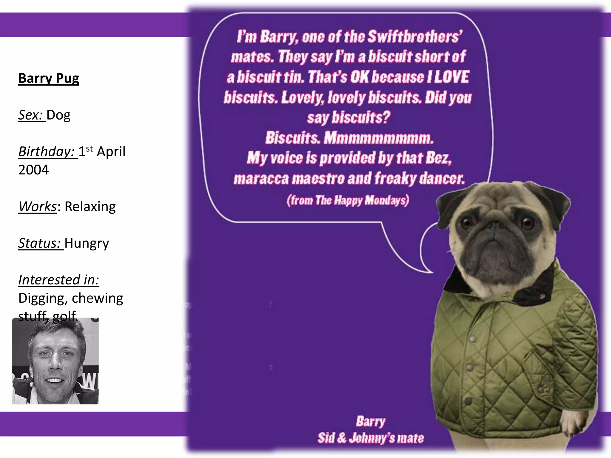 Meet the Swiftbrothers | swiftcover.com