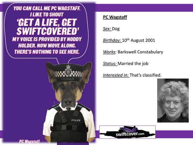 Meet the Swiftbrothers | swiftcover.com