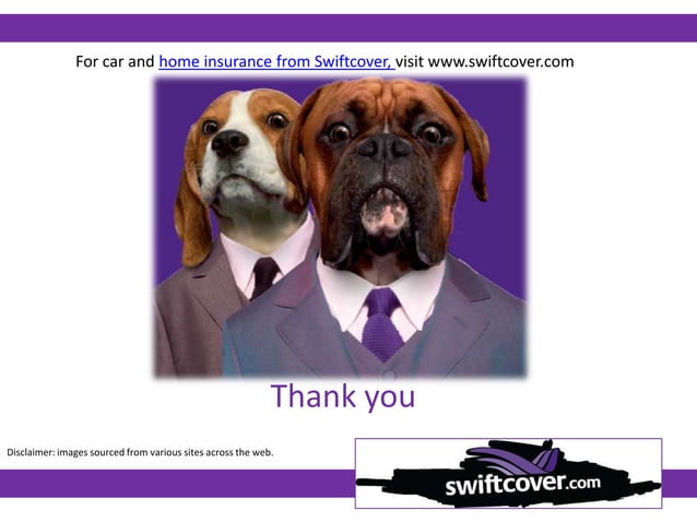 Meet the Swiftbrothers | swiftcover.com