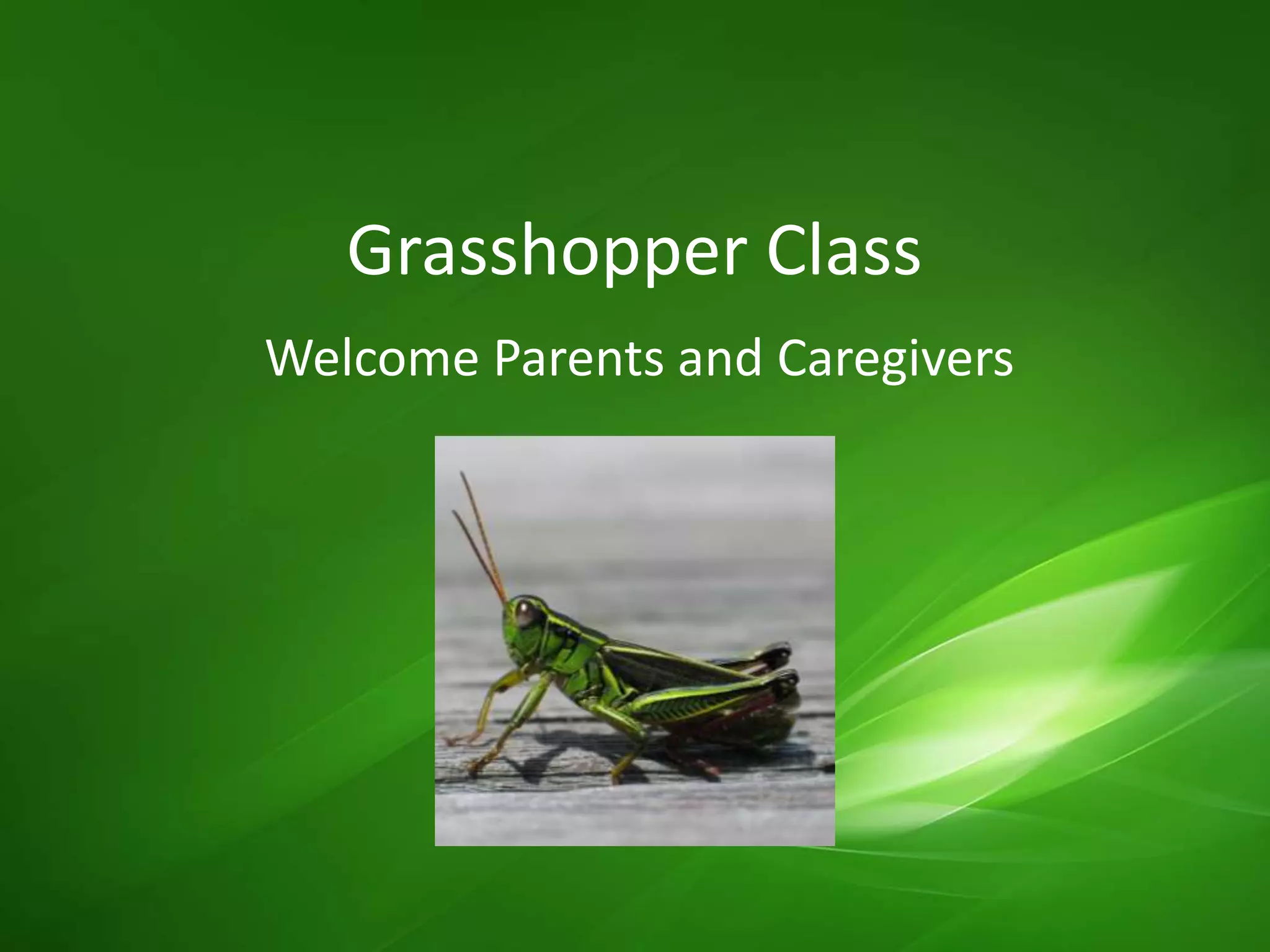 Meet the teacher 2017 grasshopper | PPT