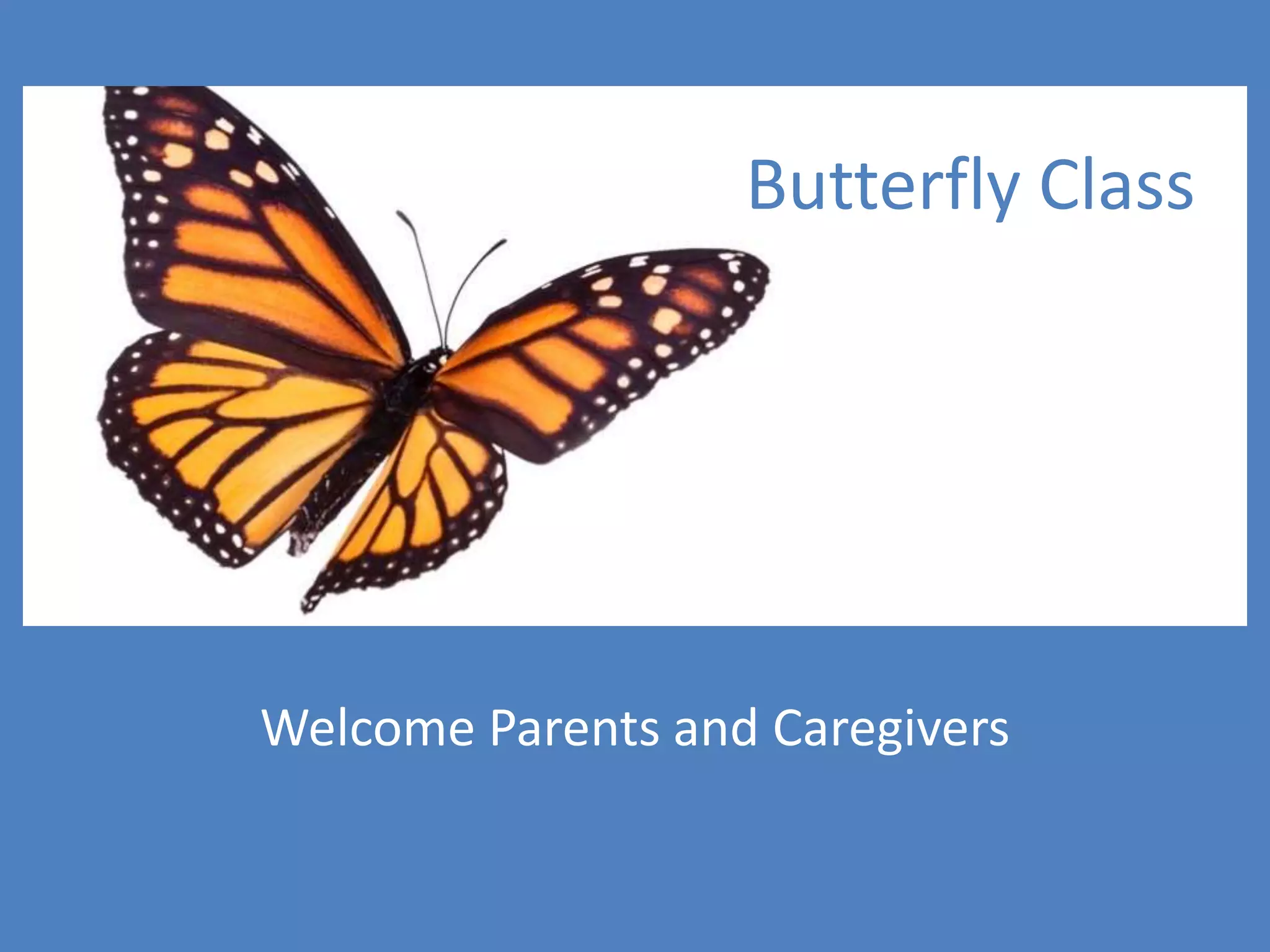 Meet the Teacher 2022 - Butterfly.pptx