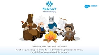 Introduction to Mulesoft and Salesforce Spring '19 release features | PPT