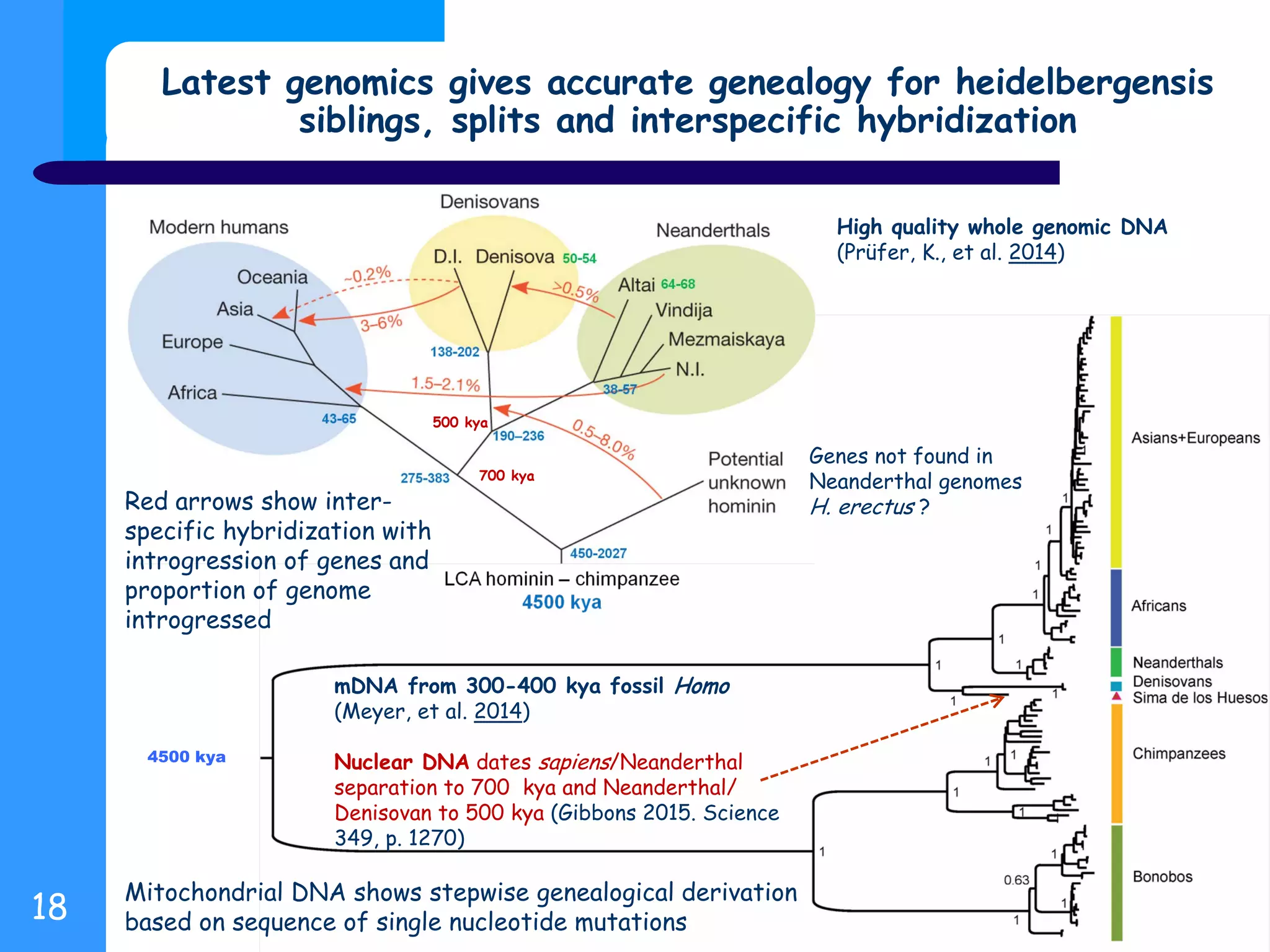 Episode 5(2): Genomics, our African genesis and family tree - Meetup ...