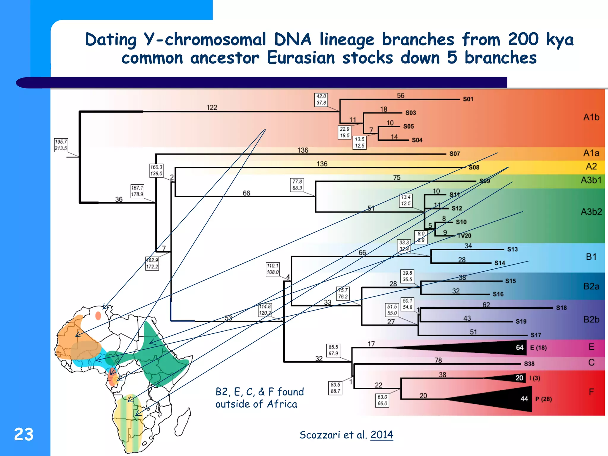Episode 5(2): Genomics, our African genesis and family tree - Meetup ...