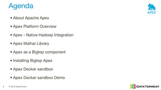 Apache Apex & Bigtop | PPT