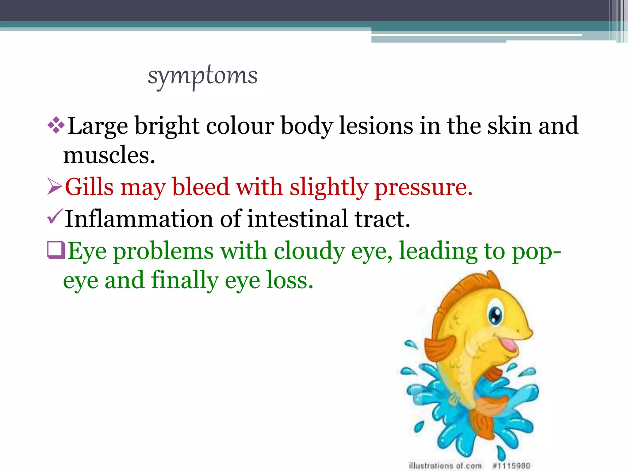 bacterial disease of fishes | PPTX