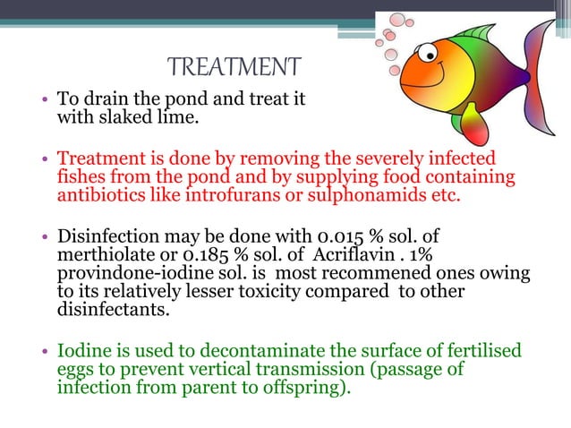 bacterial disease of fishes | PPT