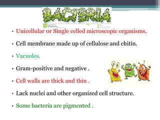 bacterial disease of fishes | PPTX