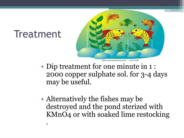 bacterial disease of fishes | PPTX | Diseases and Conditions | Medical ...