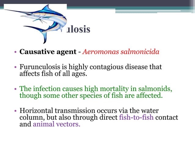 bacterial disease of fishes | PPTX | Diseases and Conditions | Medical ...