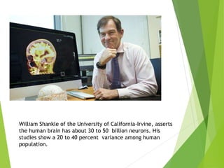 Meet your amazing brain | PPTX | Brain and Nervous System Disorders ...