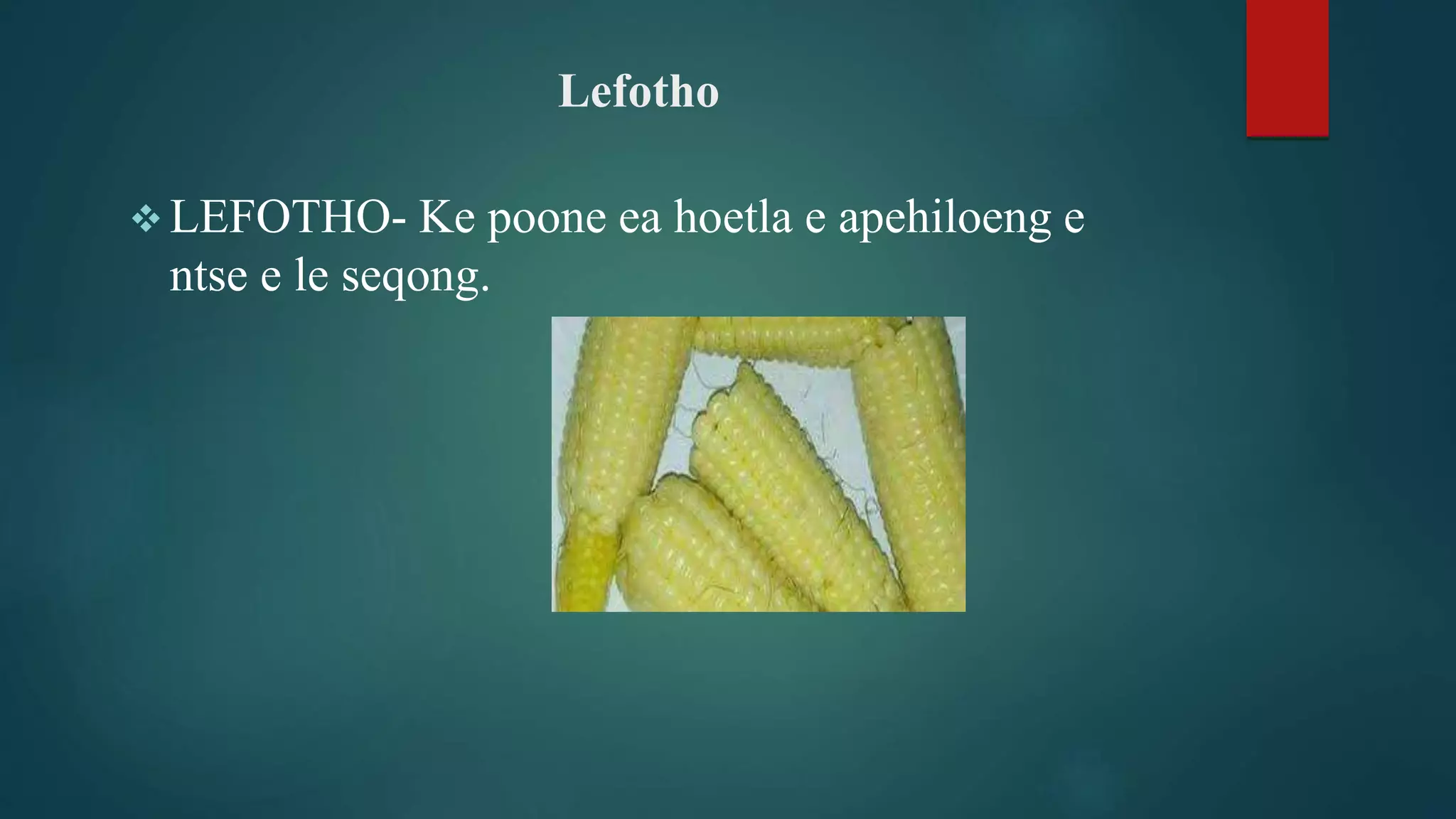 MEFUTA EA LIJO. | PPTX