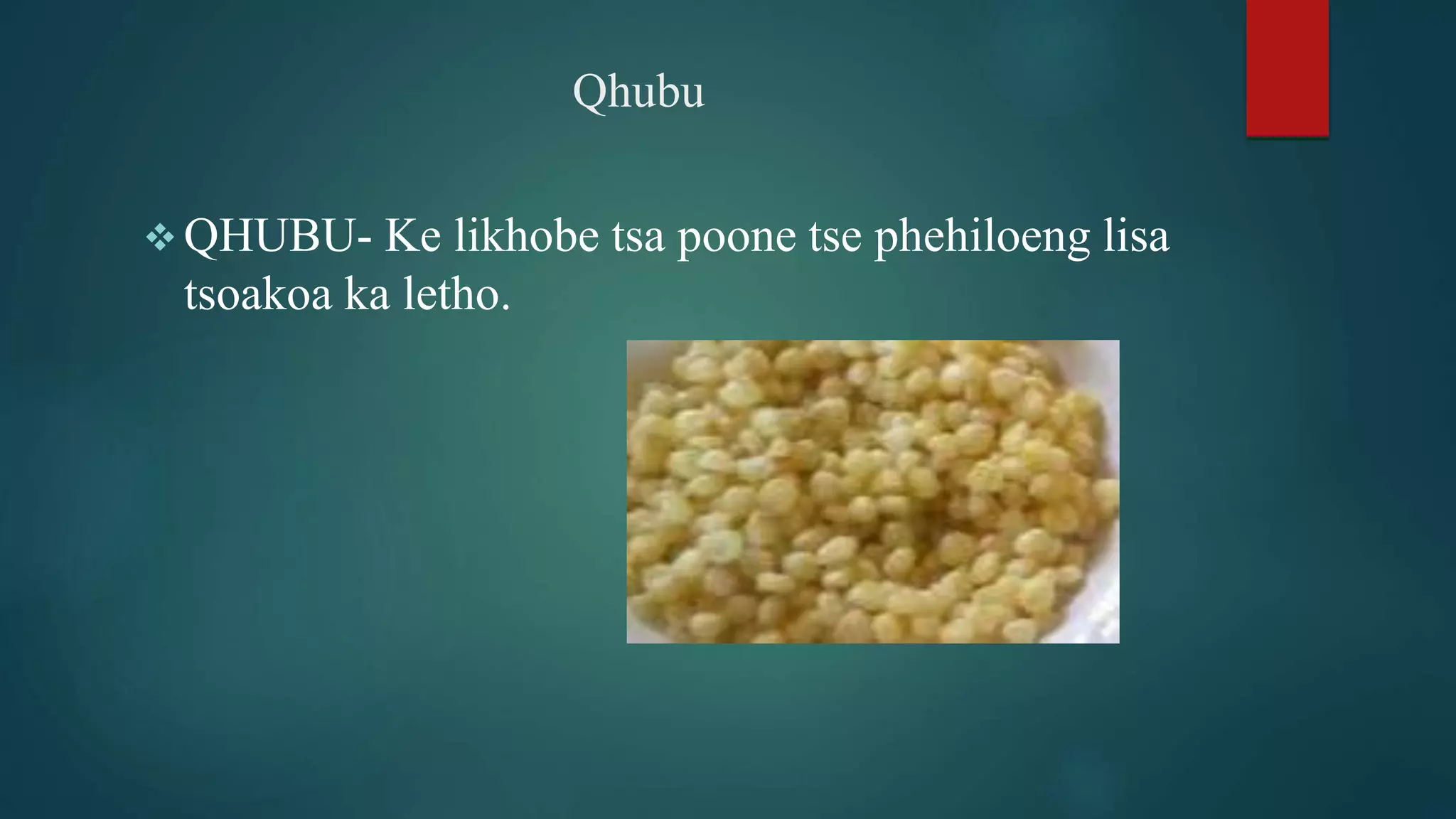 MEFUTA EA LIJO. | PPTX