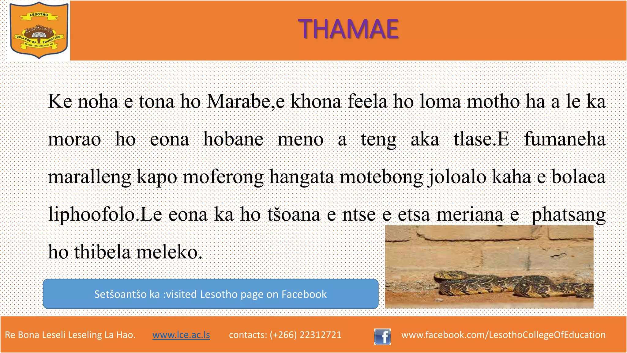 MEFUTA EA LINOHA TSE FUMANEHANG LESOTHO | PPTX