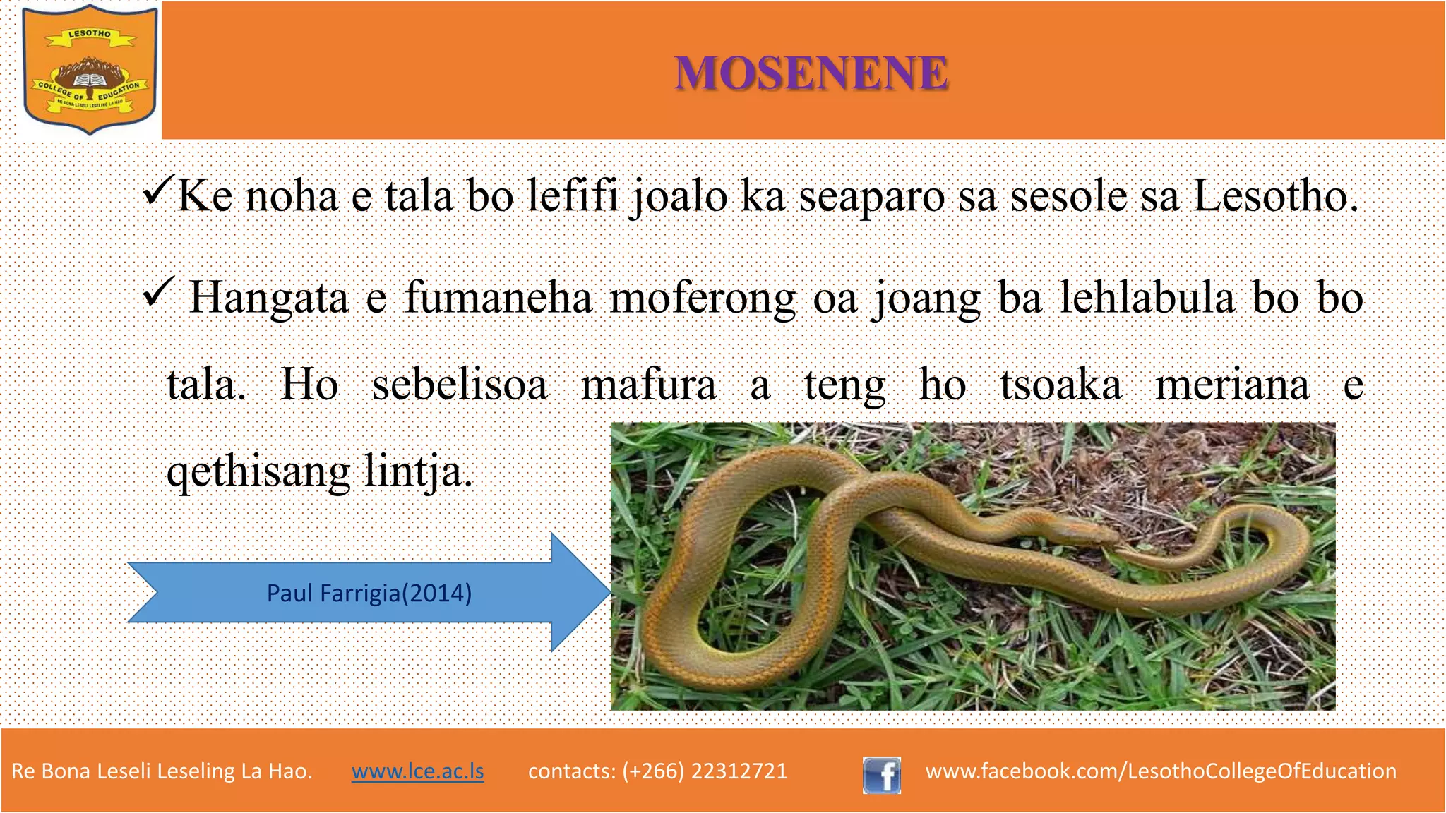 MEFUTA EA LINOHA TSE FUMANEHANG LESOTHO | PPTX