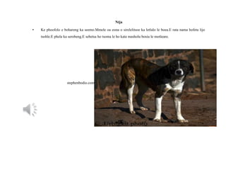 Mefuta ea liphoofolo tsa basotho tsa hae ka Moahloli Mookho.pptx