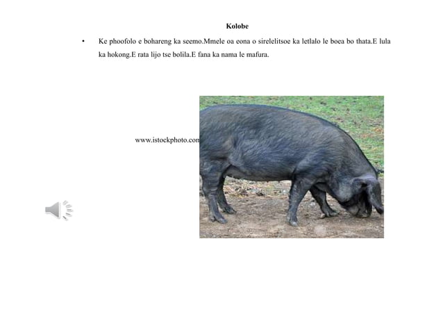 Mefuta ea liphoofolo tsa basotho tsa hae ka Moahloli Mookho.pptx