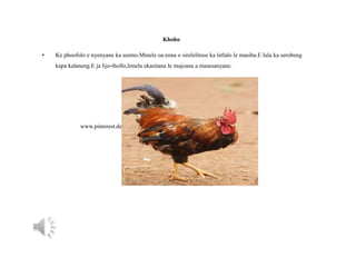 Mefuta ea liphoofolo tsa basotho tsa hae ka Moahloli Mookho.pptx