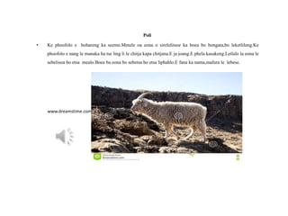 Mefuta ea liphoofolo tsa basotho tsa hae ka Moahloli Mookho.pptx