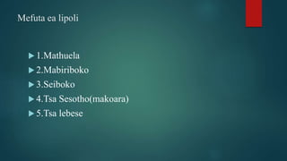 MEFUTA EA LIPOLI.pptx