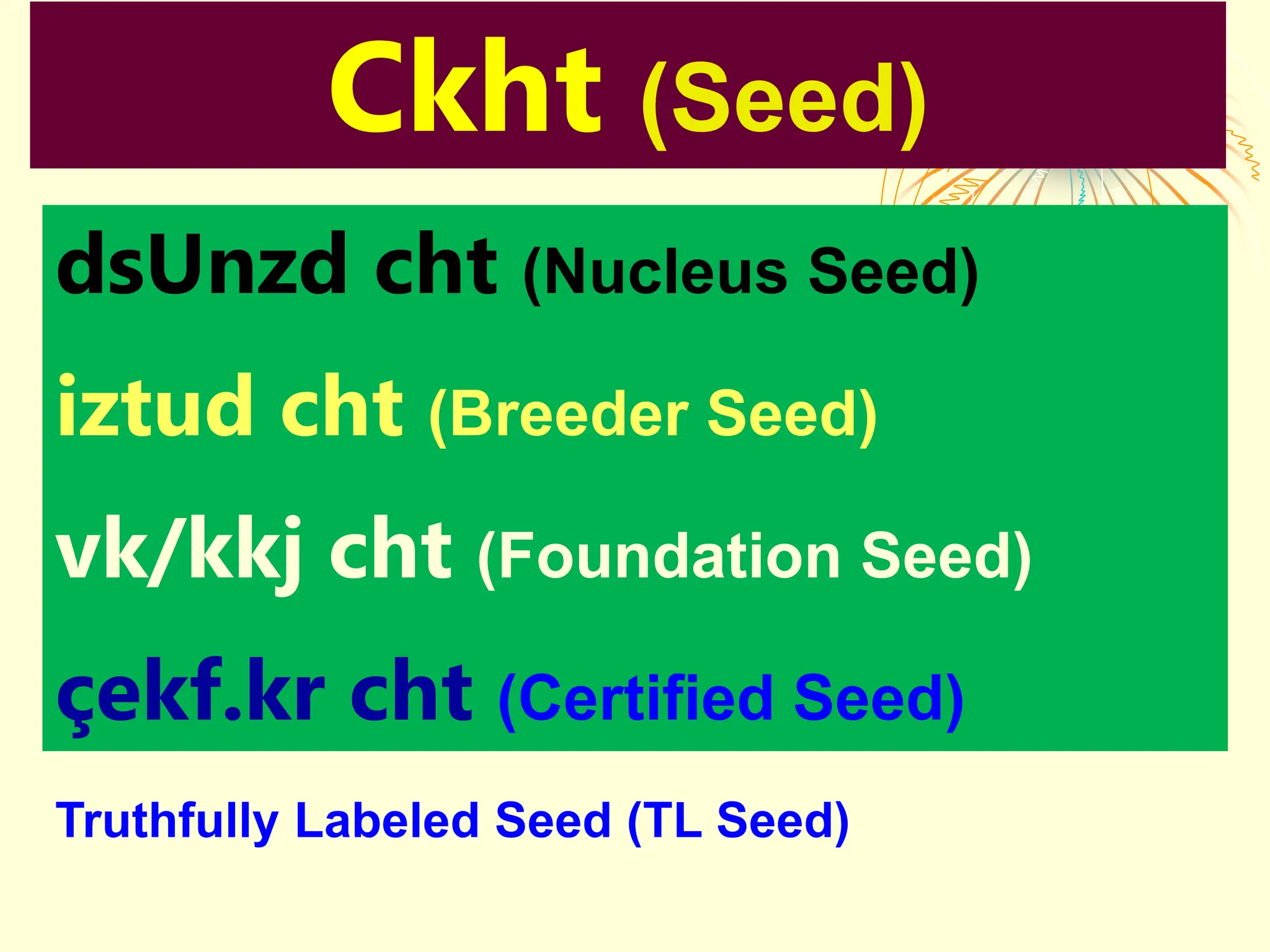 mega-seed-project-seed-hub-sitaram-kumhar.ppt