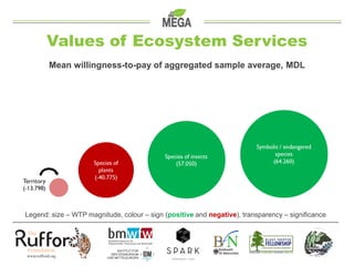 MEGA - The Codru Quest - Final Report (ENG) | PDF