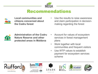 MEGA - The Codru Quest - Final Report (ENG) | PDF