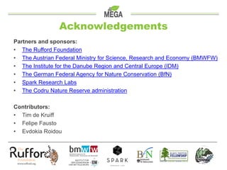 MEGA - The Codru Quest - Final Report (ENG) | PDF