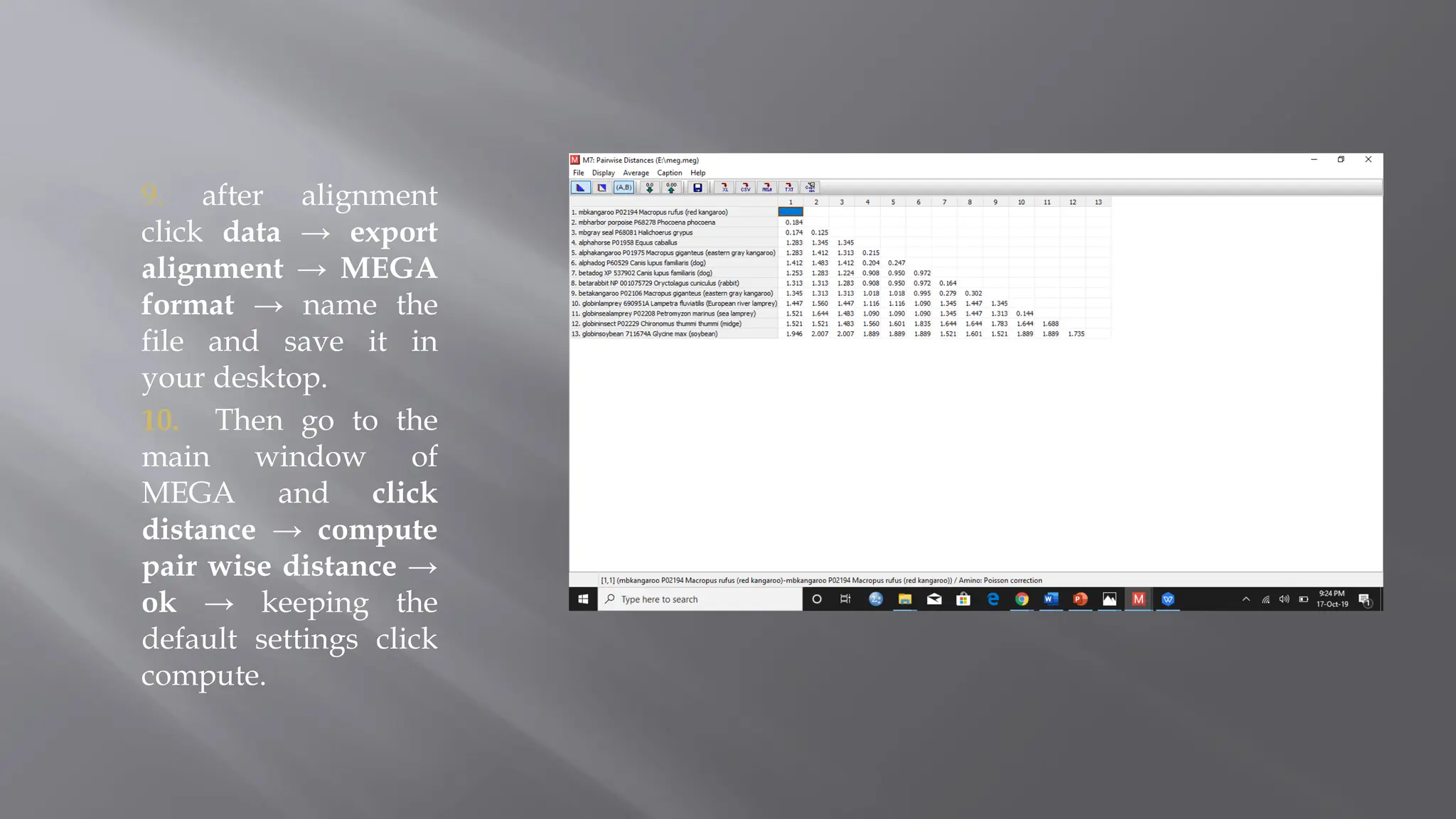 Molecular evolution genetic..MEGA1.pptx