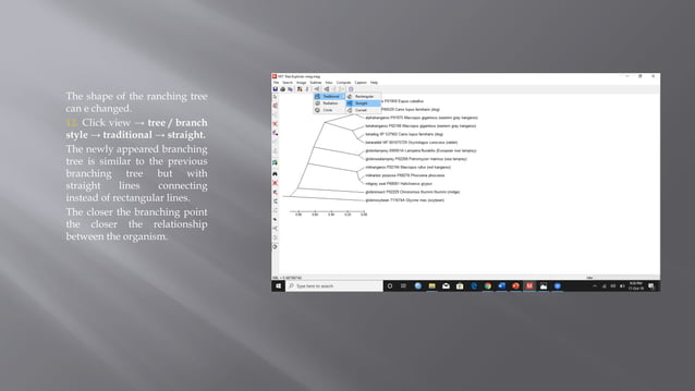 Molecular evolution genetic..MEGA1.pptx
